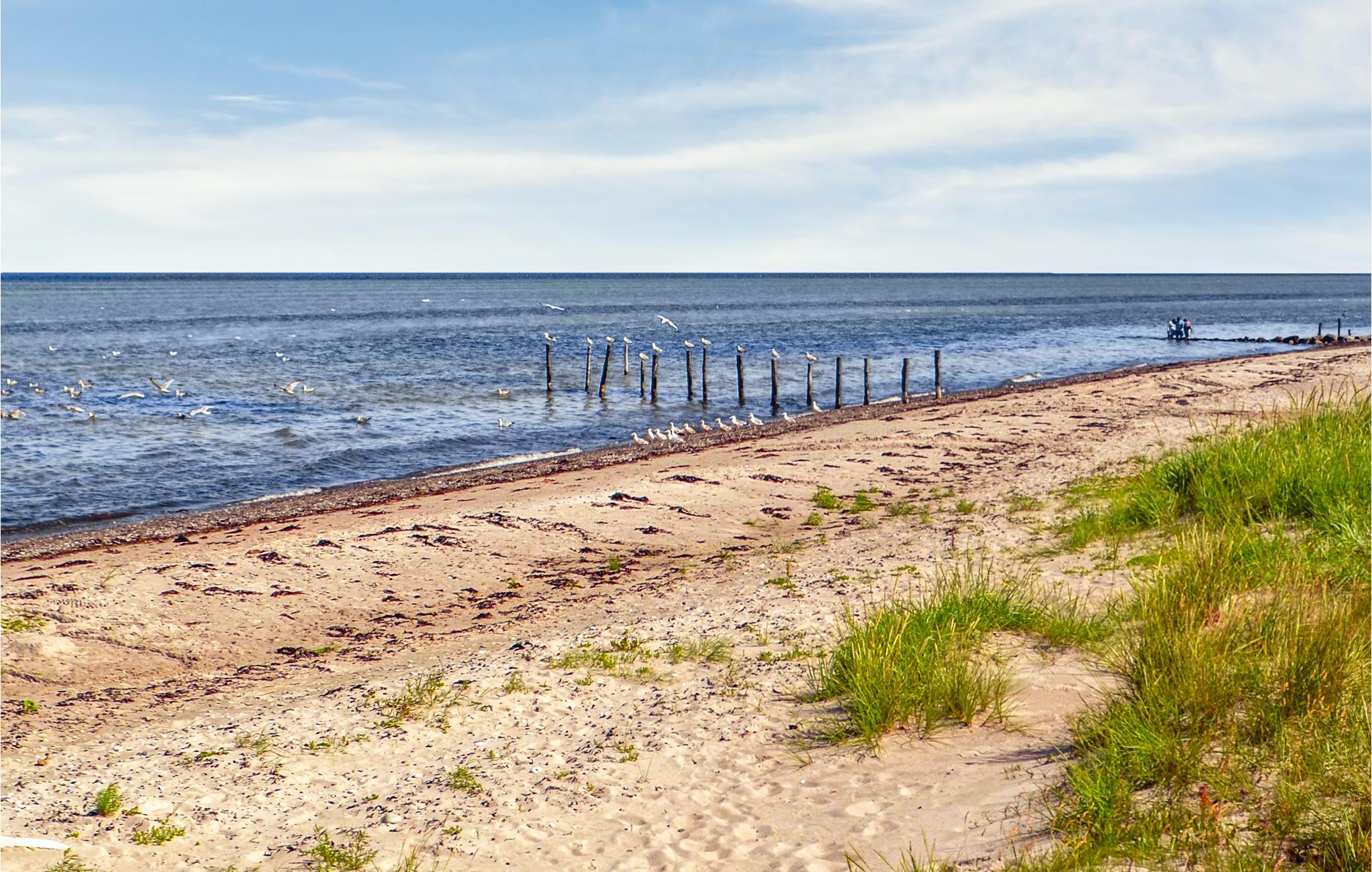 Ferienhaus - 8 Personen - Kalvehavestien - Fjellerup - 8585 - Glesborg ...